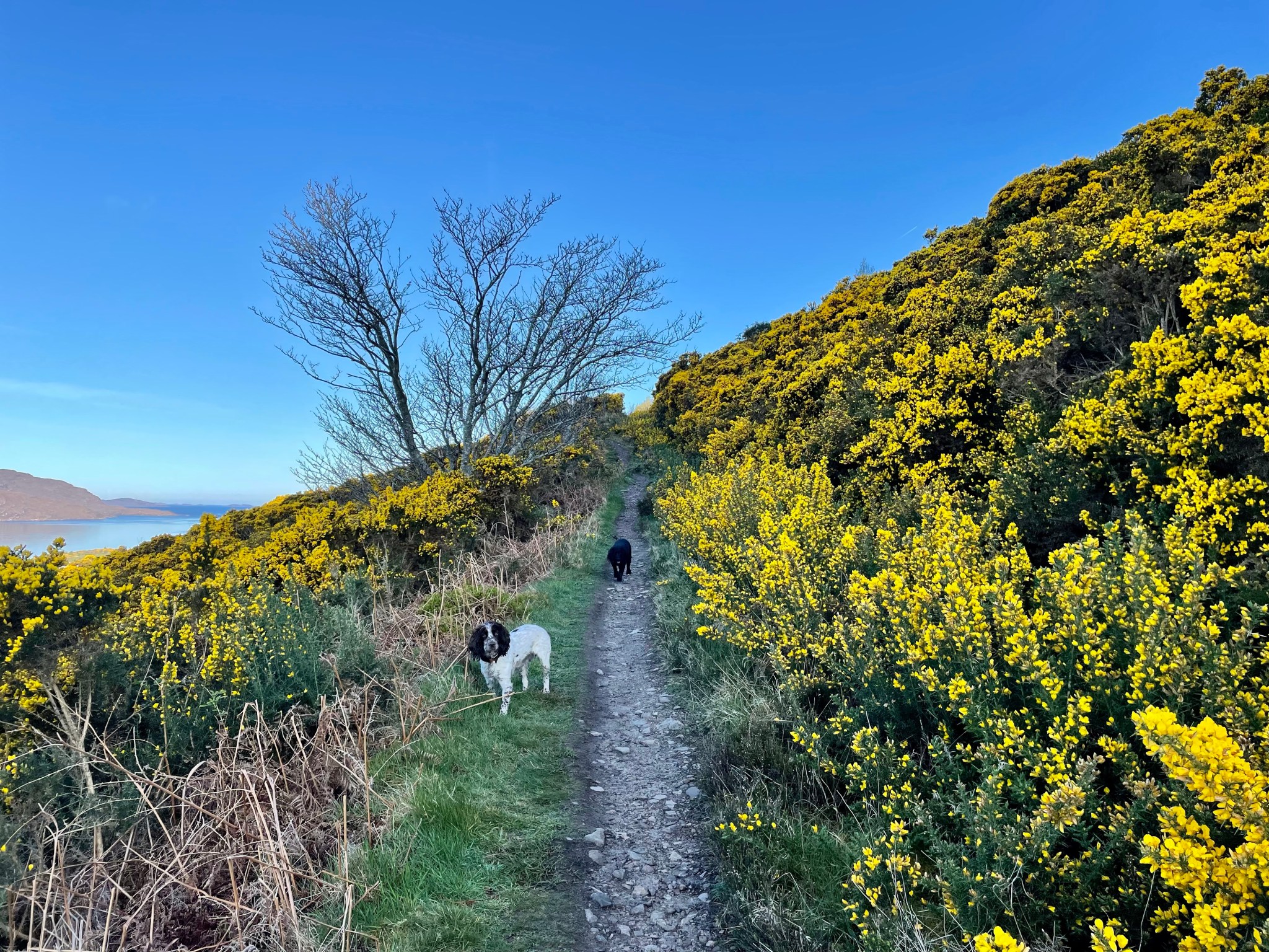 Ullapool Hill Circuit – Tracy Goes Outside