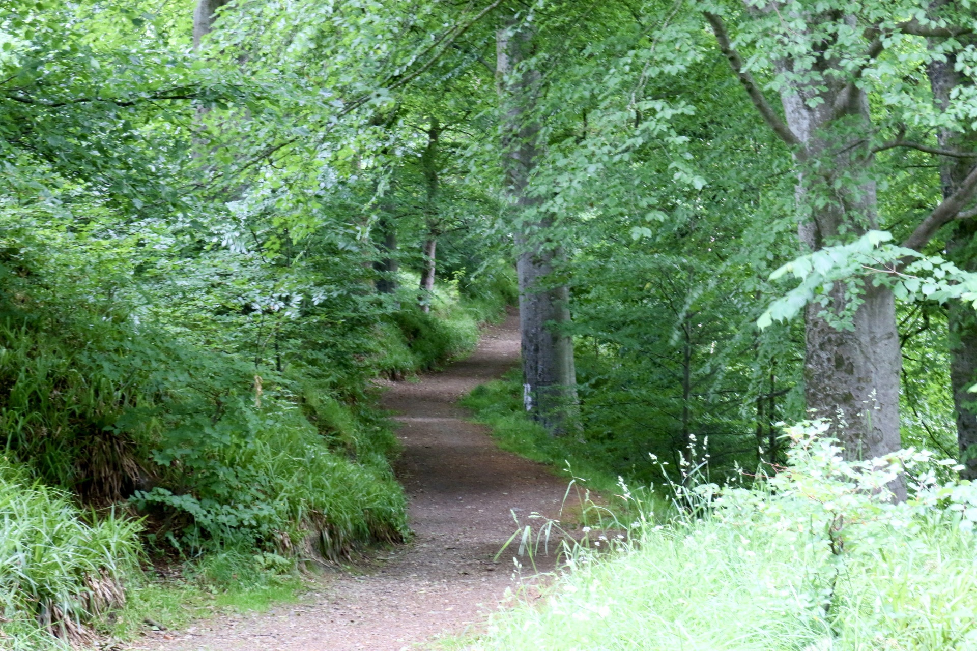 Den, Dunnyduff woods and the Falls of Tarnash – Tracy Goes Outside