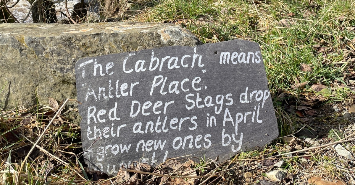 The Discovery Trail at Cabrach Trust – Tracy Goes Outside