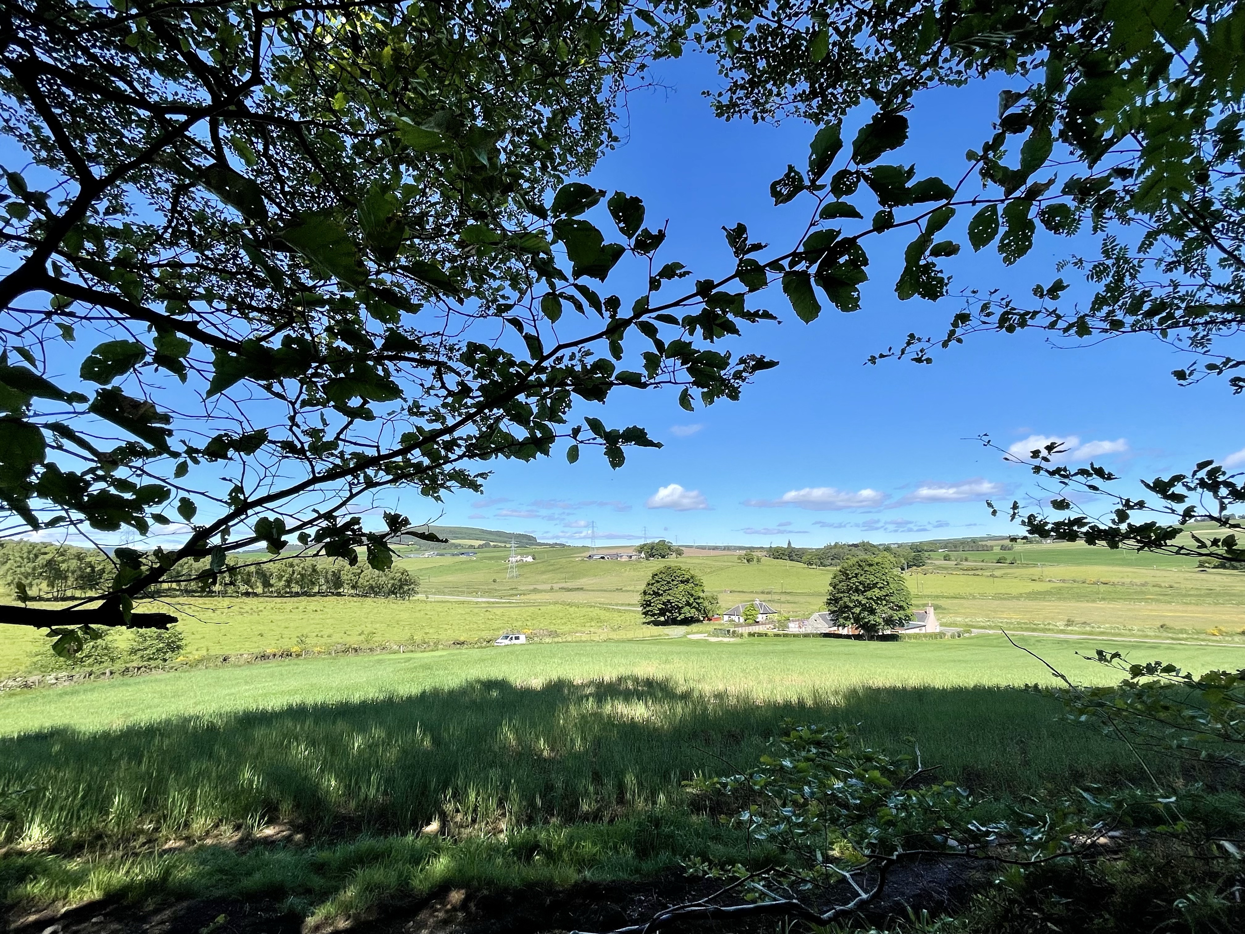 Braehead, Cottage Woods and the Auld Brig, Keith – Tracy Goes Outside